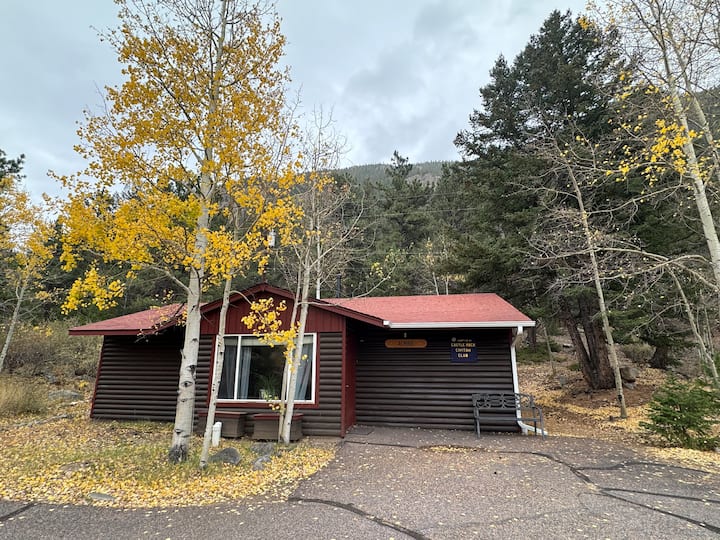Family Cabin Close To Gtown Pond Hockey! - Georgetown, CO