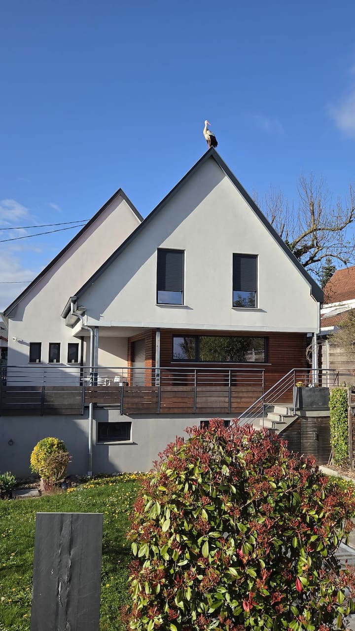 Maison Avec Jardin Et Piscine Spa Proche D'obernai - Obernai