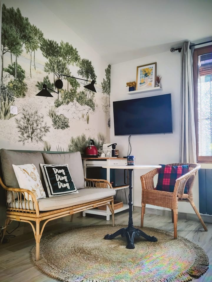 "Le Cottage", Studio+patio, Palais De Justice - Toulouse