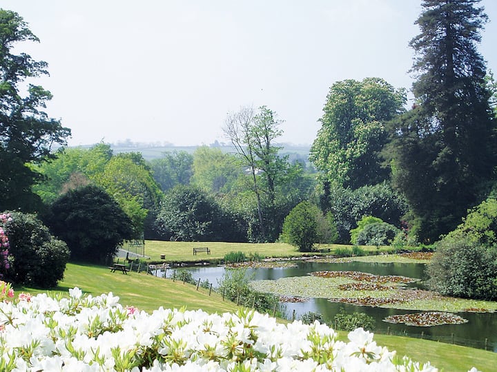 Rosecraddoc Manor - Heron - Liskeard