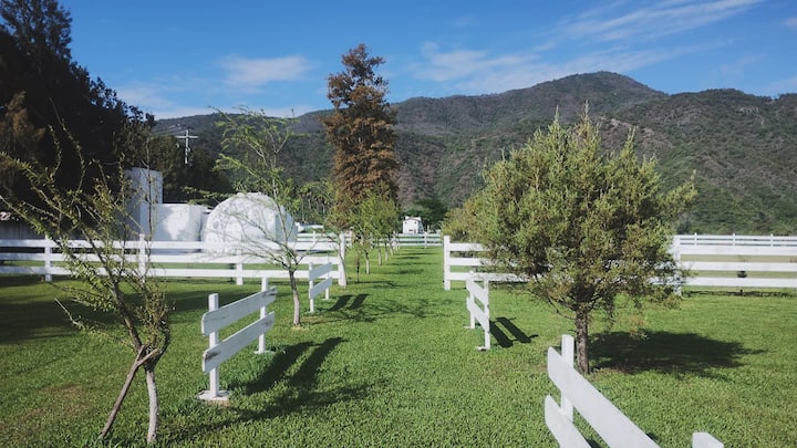 Glamping En Mascota - Nayarit