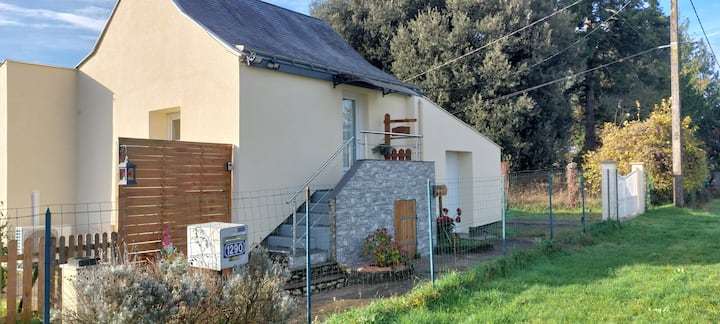 Maison Entre Langeais Et Tours - Luynes