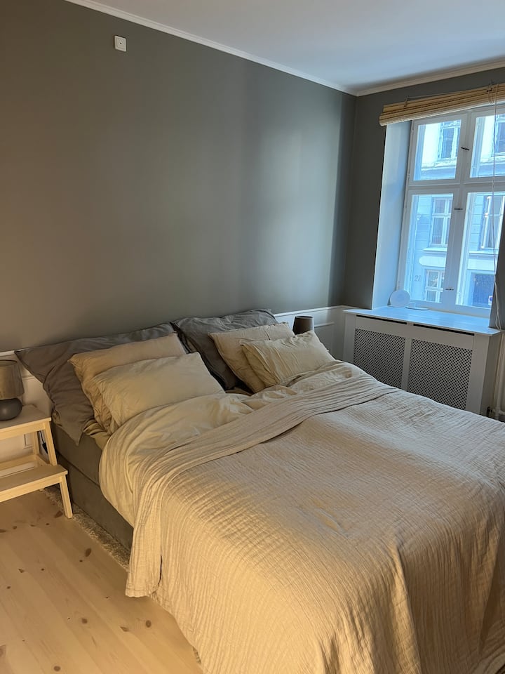 Hyggelig Ny Renoveret Lejlighed - Copenhagen