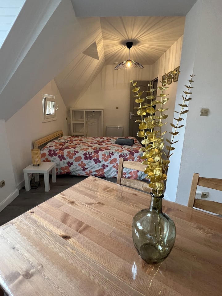 Studio Centre Ville Saint Omer - Arques