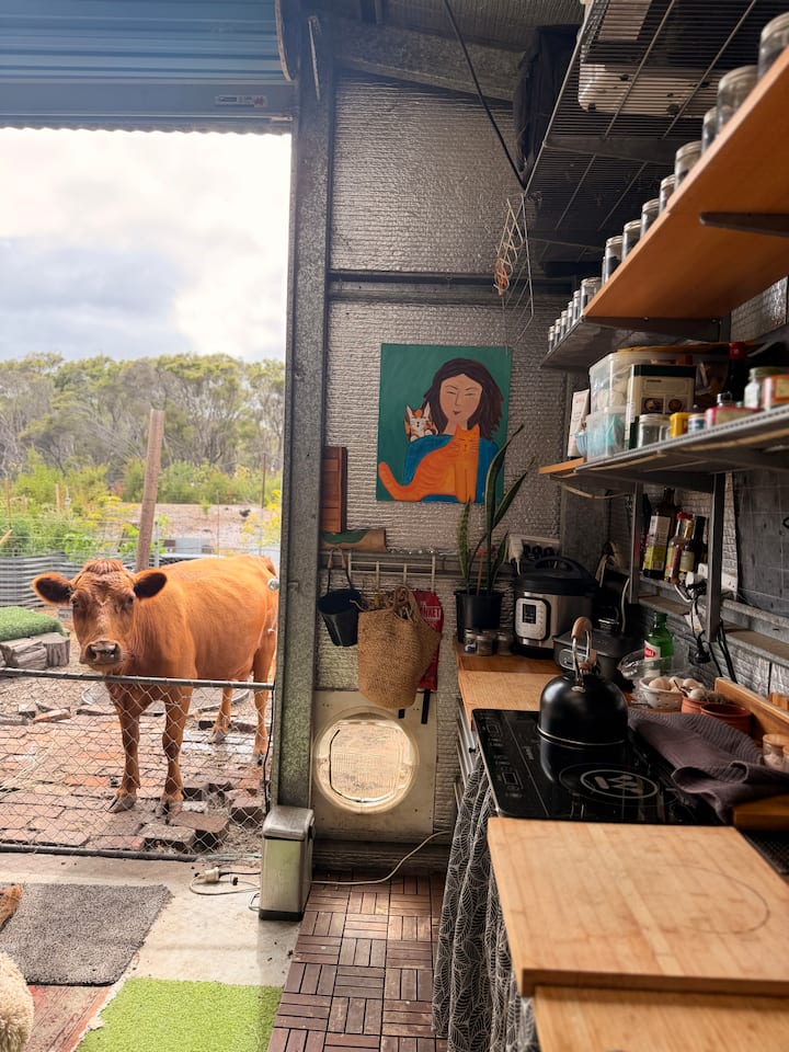 The Blue Barn Nornalup Off-grid Animal Sanctuary - Walpole