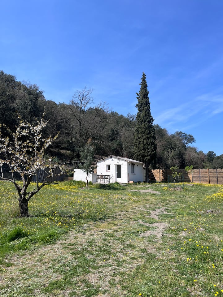 Maisonnette Atypique à La Campagne - Céret