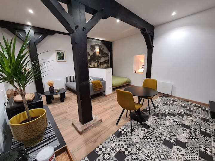 Studio Atypique En Plein Centre - Ottrott