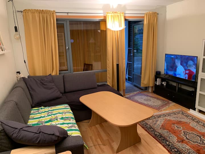 One Bedroom Flat Close To The City Center - Trondheim