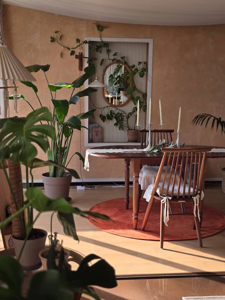 감성숙소/불멍/바베큐/고급킹메트리스/넥플리스/디지니플러스/조천라온 - Jeju-si