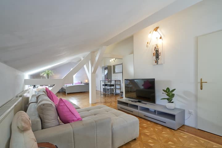 Big Apartment In Guesthouse - Baden bei Wien