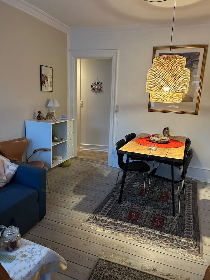 Cozy Apartment Close To Downtown - Aéroport de Copenhague (CPH)