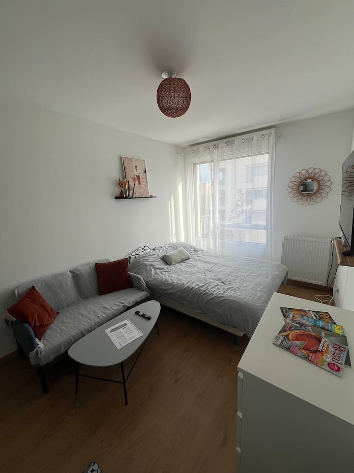 Studio Neuf Cosy, à Proximité De Toutes Commodités - ibis Lyon Est Bron