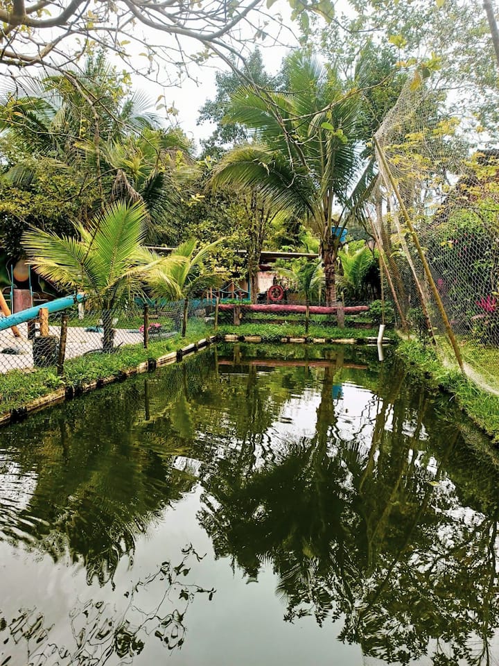 Casa De Veraneio - Santos, Brasil