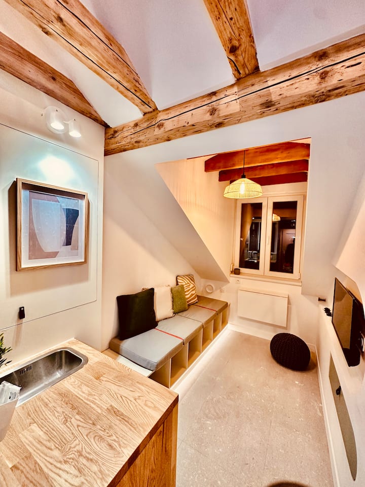 Cosy Tiny Cabanon - Strasbourg Hypercentre - Strasbourg