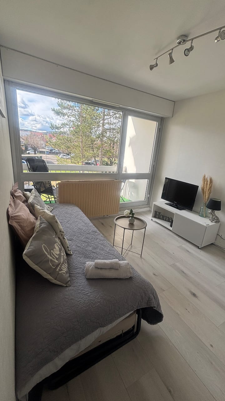 Jolie T1 Port Du Canal - Gare - Cité Gastronomique - Dijon