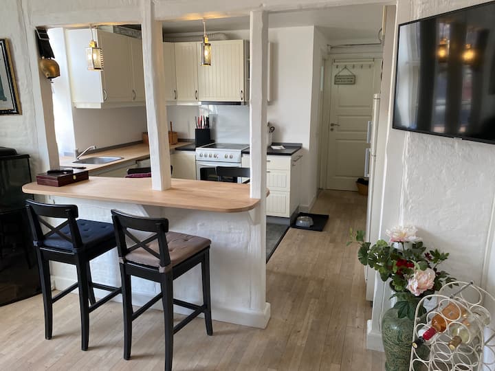 Cosy Urban Retreat - Copenhaguen