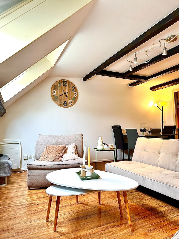 Hypercentre Thionville|wifi|commerces|prox Metzlux - Thionville