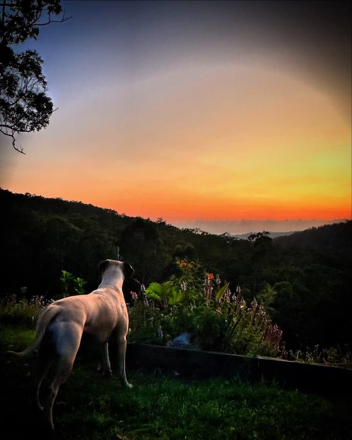 The Oasis Retreat Hot Spa & Ocean Views - Springbrook