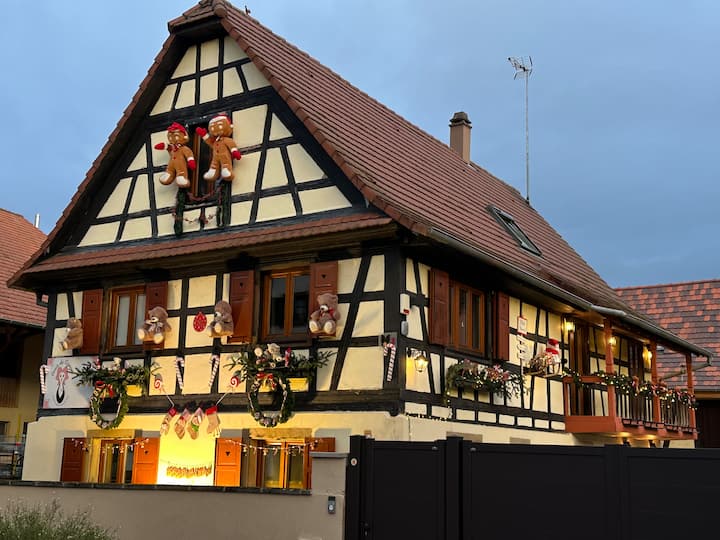 Gîte 3* "Cœur De Cigogne" - Alsace, 15' Strasbourg - Alsace