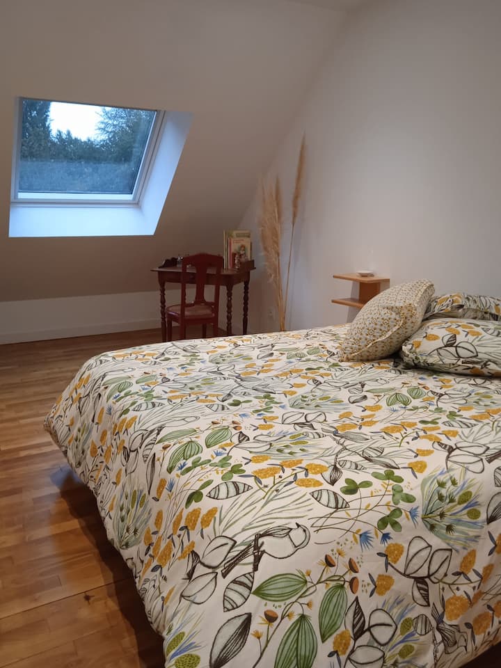 Maison En Lisière De La Forêt - Fougères