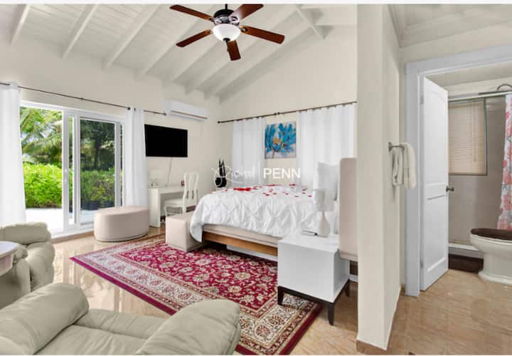 A Beachfront•king Villa•shop•food•healing Waters - Bahamas