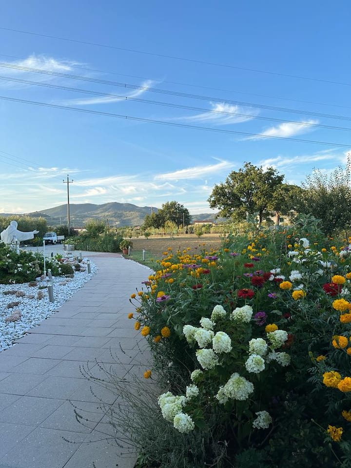 Villa Bianca T - Pistoia