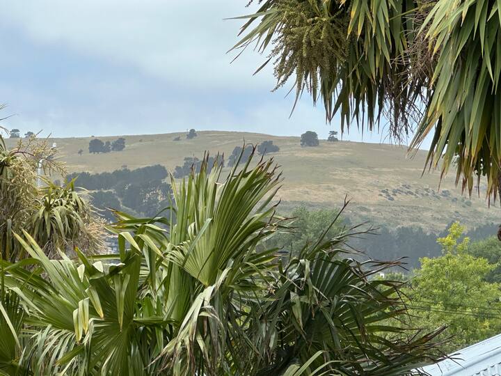 St Martins: By The Port Hills - Christchurch