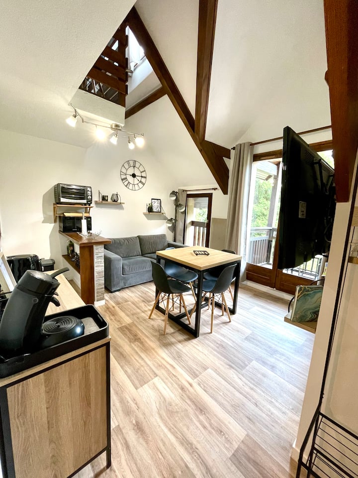 Duplex Du Pailhet, T3 Neuf, Vue Montagne + Parking - Les