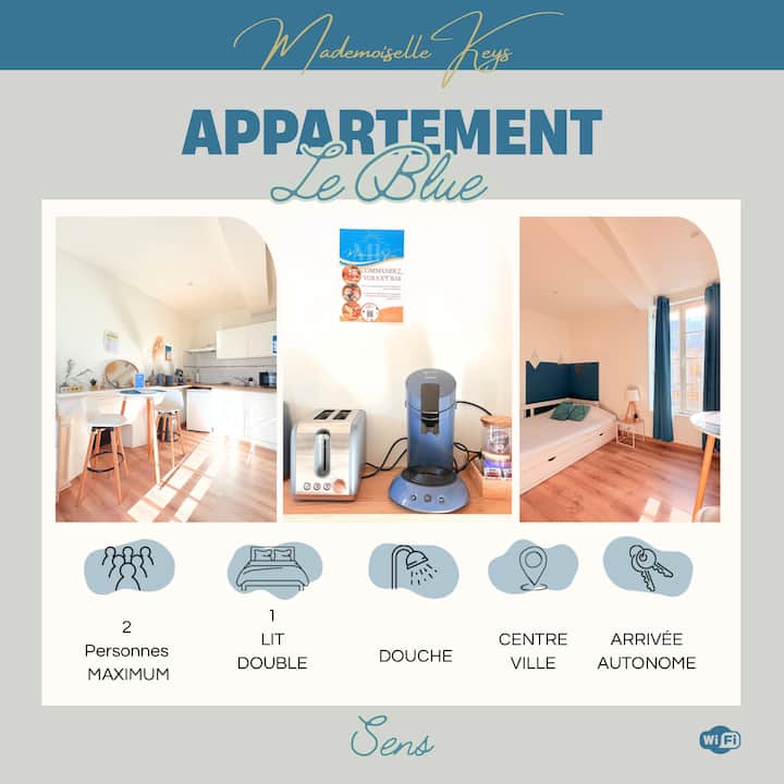 Le Blue- Hyper Centre Ville - Sens