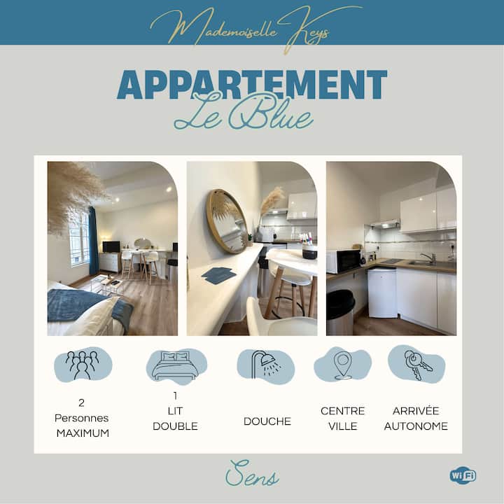 Le Blue- Hyper Centre Ville - Sens