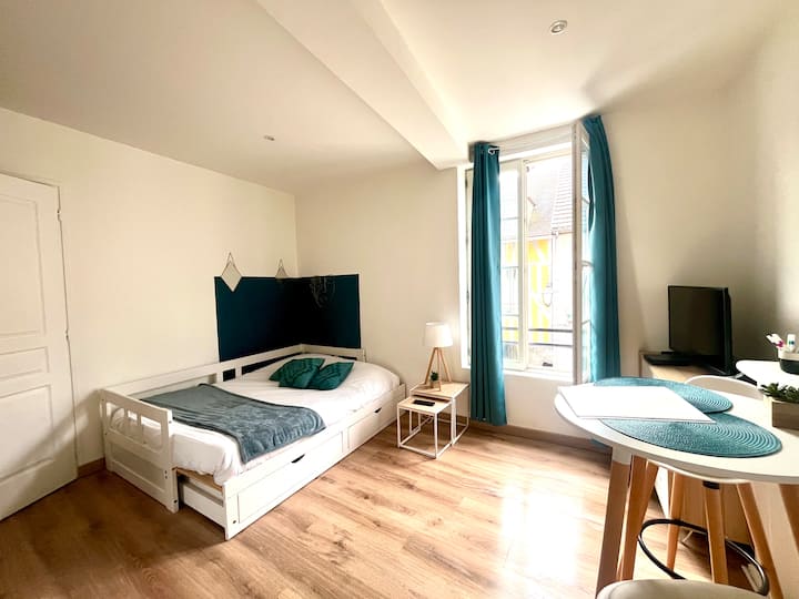 Le Blue- Hyper Centre Ville - Sens