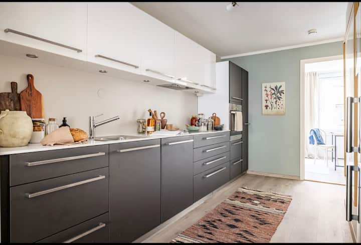 Koselig Leilighet Rett Ved Slottet, Super Sentralt - Oslo