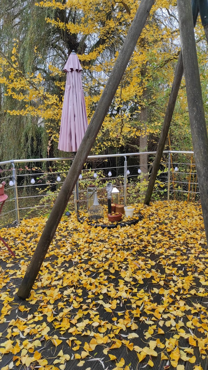 Mon Petit Nid En Picardie - Gouvieux