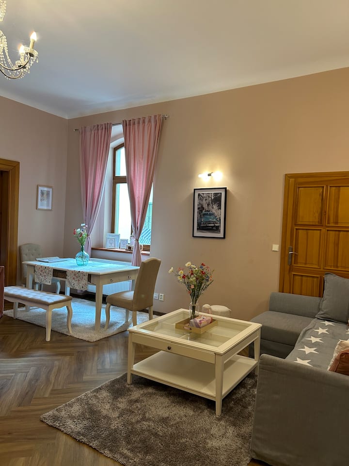 Apartmán V Centru Města - Pilzno