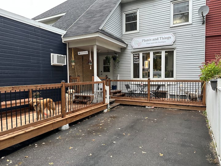 Apartment In Downtown Corner Brook, Newfoundland. - Corner Brook