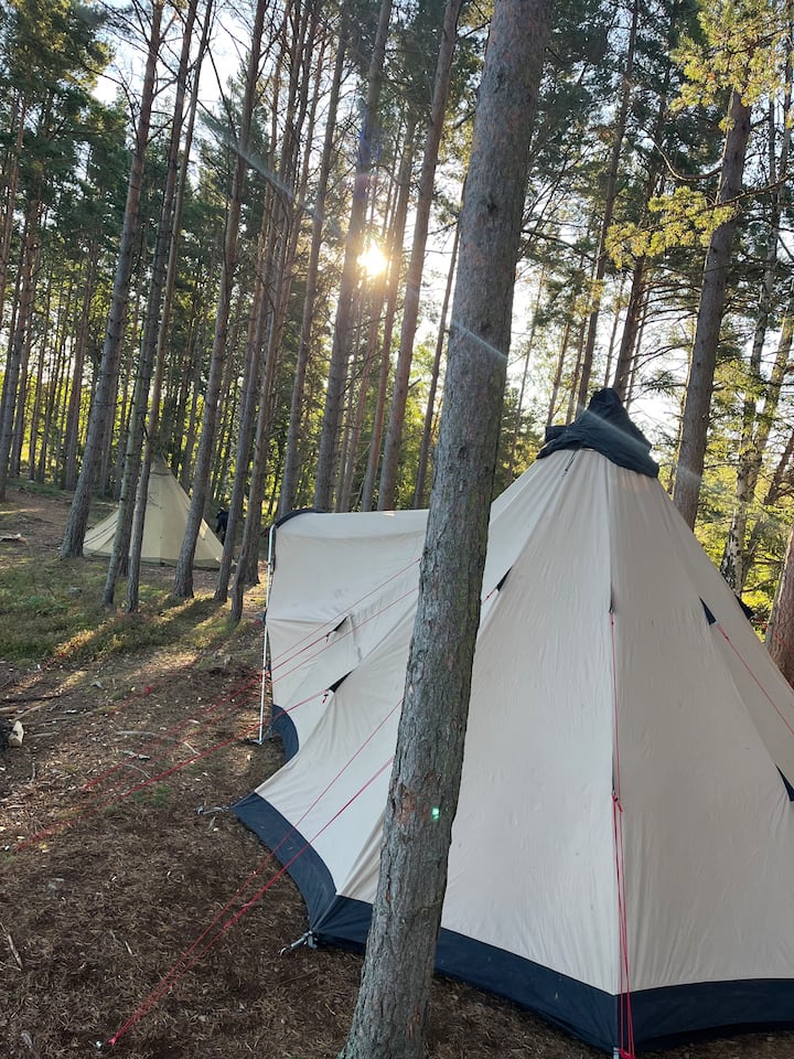 Glamping By The Sea Or Forest - Stockholm