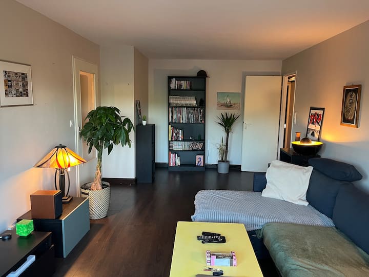 Cosy, Spatieux, Proche Gare Et Centre-ville - Argenteuil