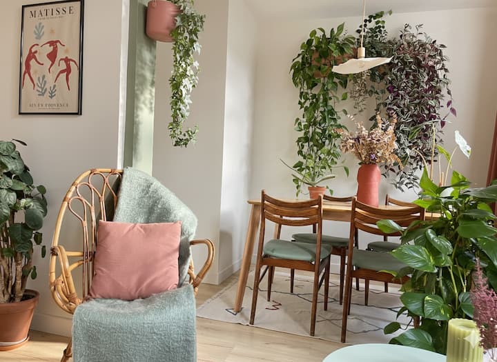 T3 Lumineux Avec Terrasse - Lille