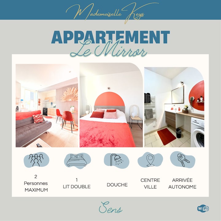 Le Mirror- Hyper Centre Ville - Sens