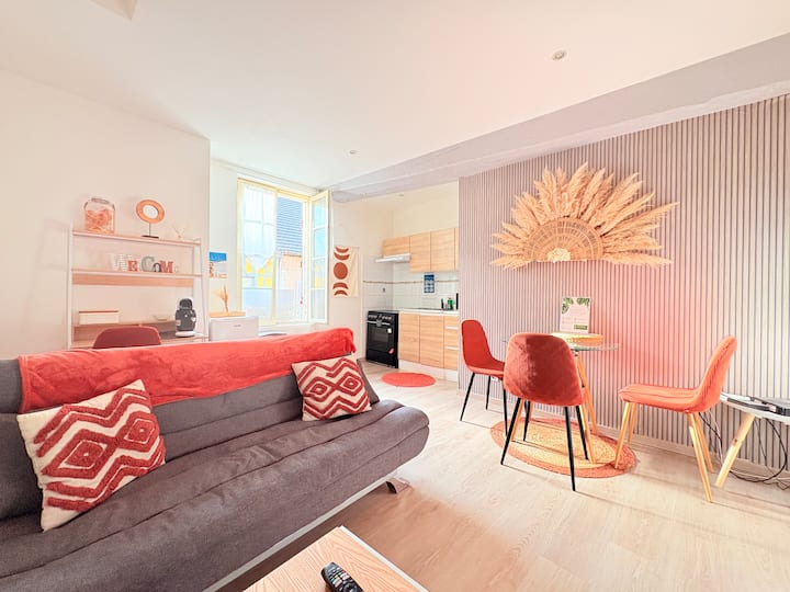 Le Mirror- Hyper Centre Ville - Sens