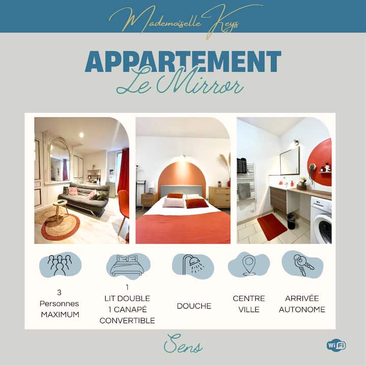 Le Mirror- Hyper Centre Ville - Sens