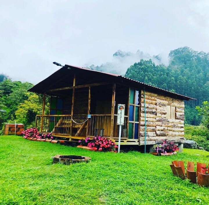 Cabañas En Madera Nativa - Riosucio