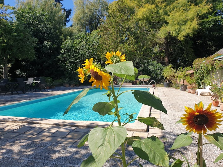 Petit Bois ° Studio Dans Parc Boisé En Ville - Montpellier