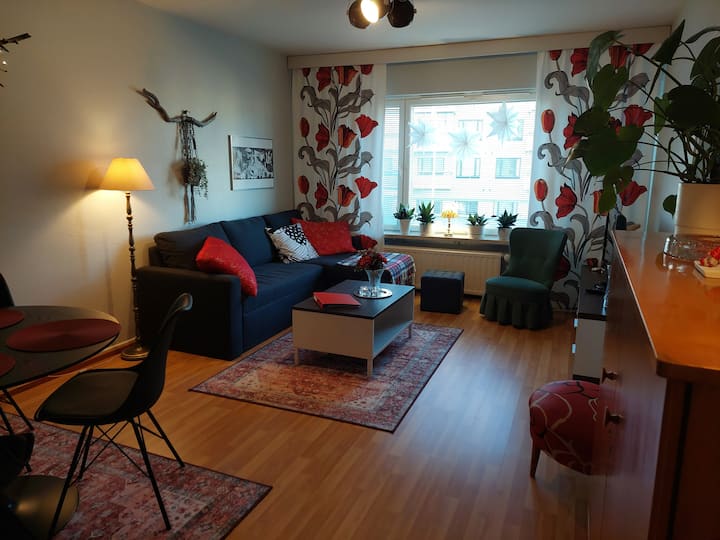 Kodikas Kolmio Keskustassa - Rovaniemi