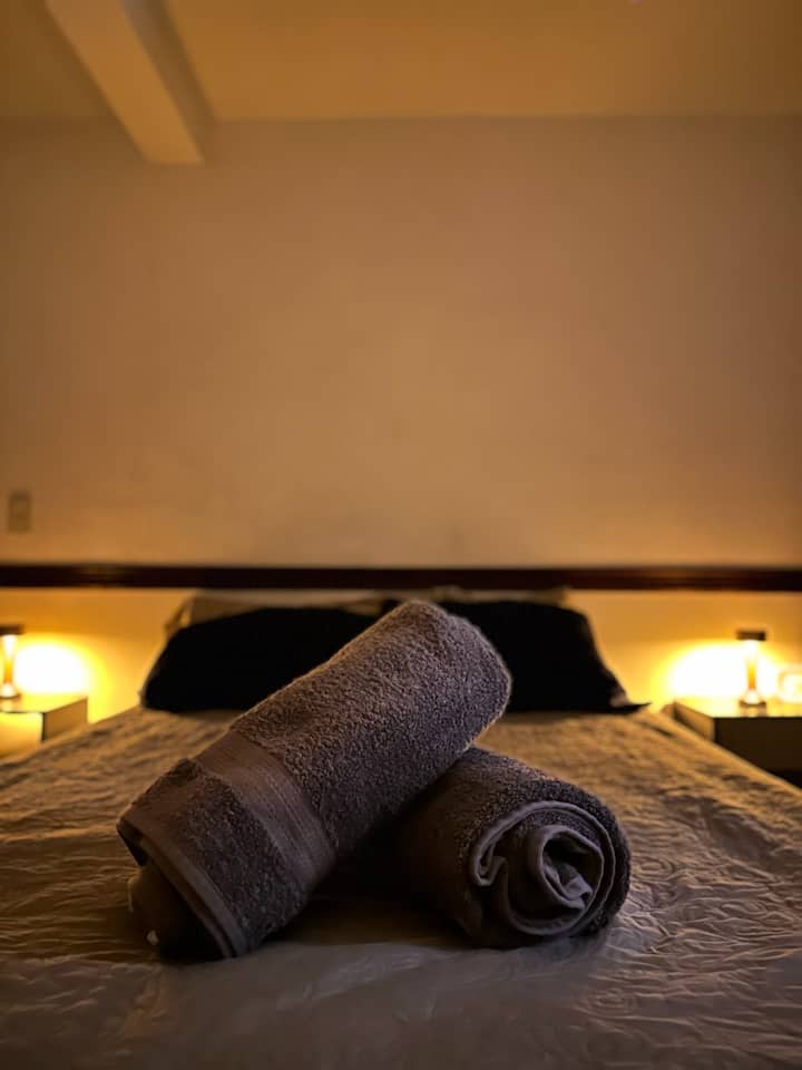 Casa Palmas - Lagos de Moreno