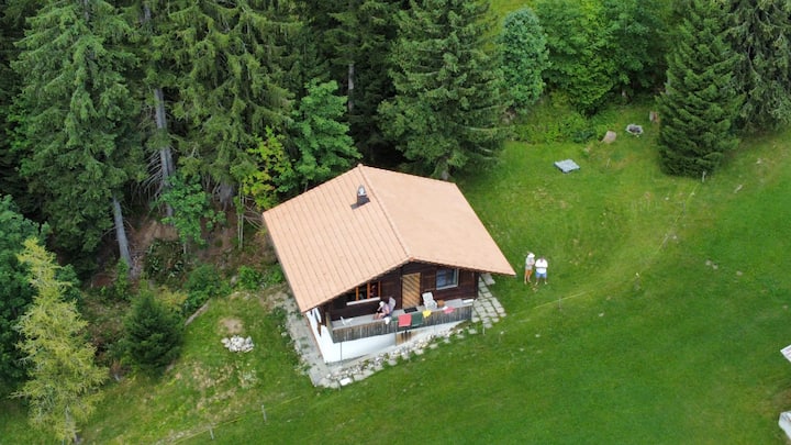 Sonne, Wandern, Biken, Geniessen Und Grillen - Gstaad