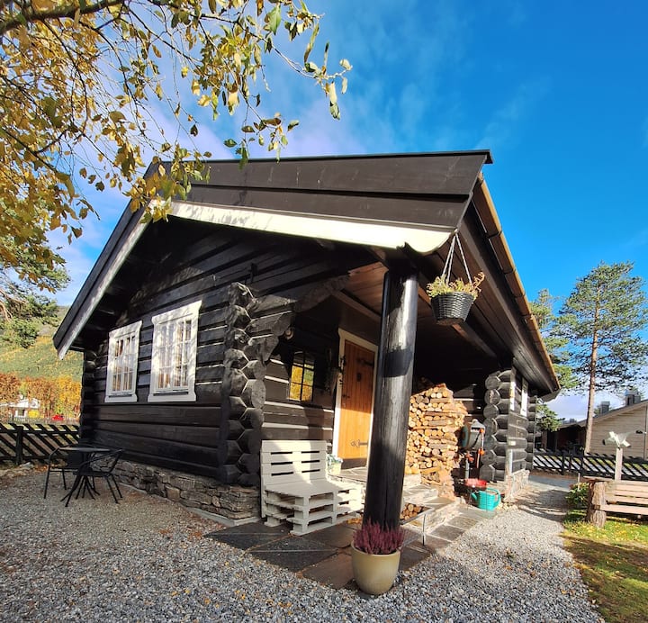 Hytte I Hagen - Norway