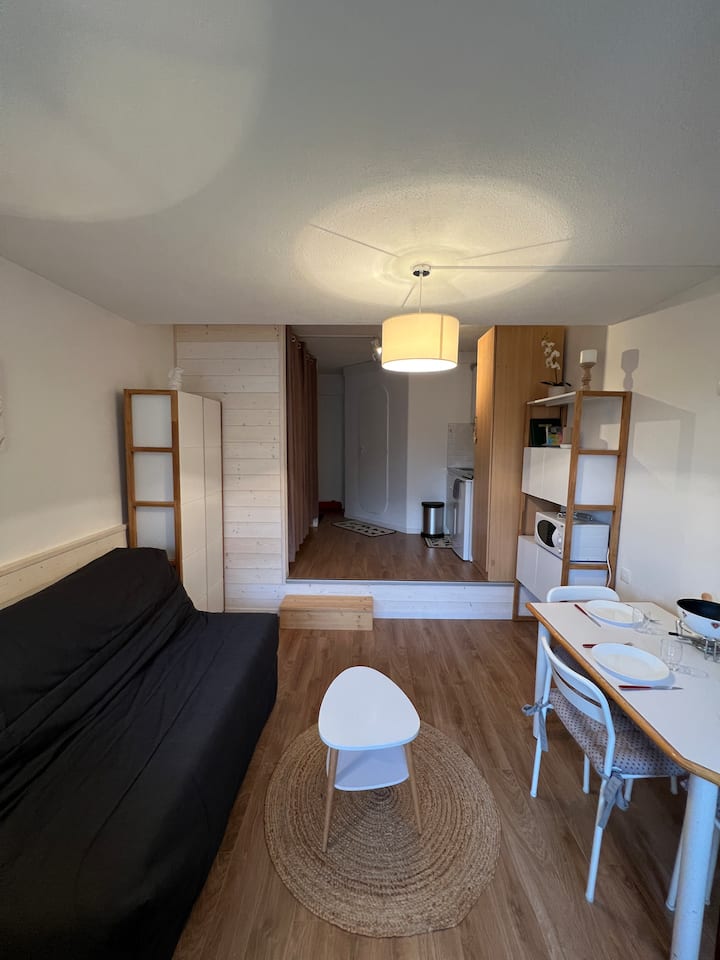 Studio Centre Vue Montagne Snow Avoriaz - Morzine