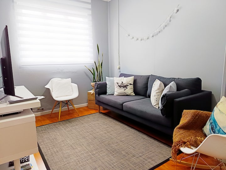 Departamento Carrera Pinto - Punta Arenas