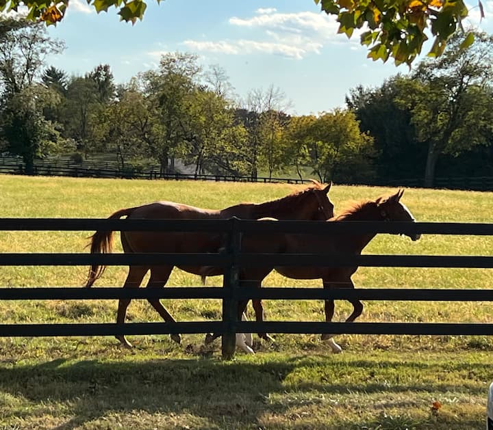Scenic Horse Farm Home - Lexington